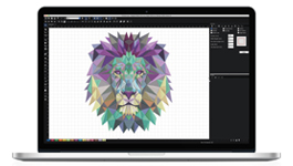Oprogramowanie do digitalizacji Chroma | Maszyny do haftowania - Ricoma